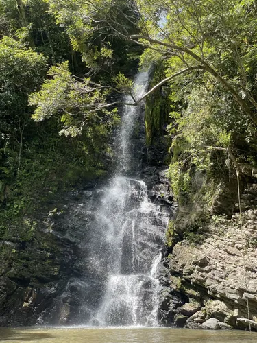 10 Best Waterfall Trails in Okinawa | AllTrails