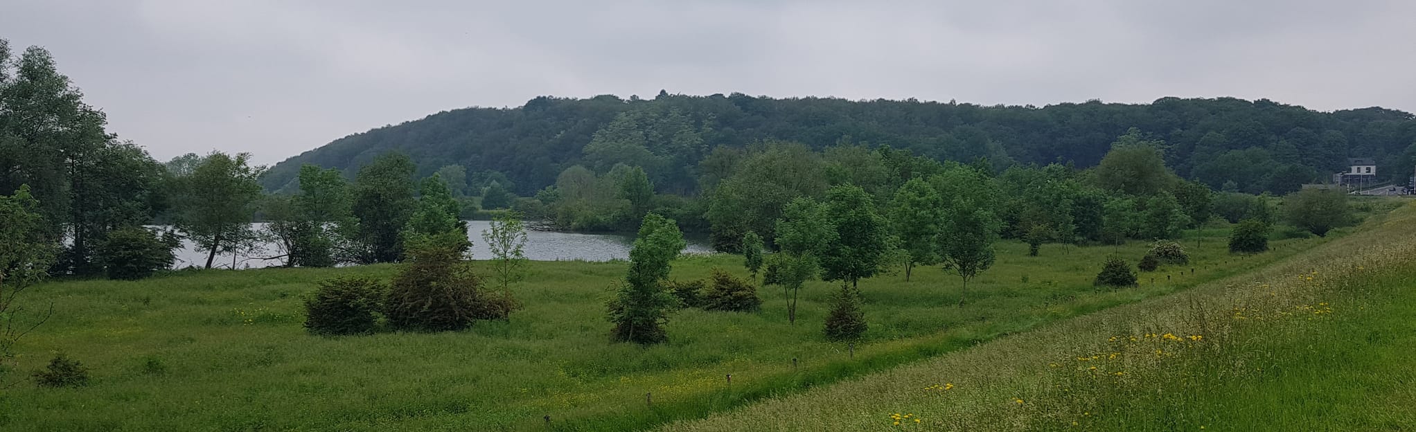 Rhenen - Veenendaal - Kesteren Bicycle Trail: 1 Reviews, Map - Utrecht ...