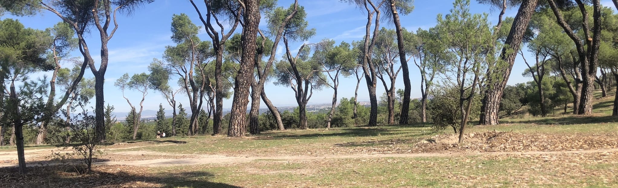 Centro Cultural Sara Montiel - Garabitas - Zoo de Madrid: 122 foto ...