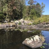 Crane Lake Trail, Missouri - 138 Reviews, Map | AllTrails