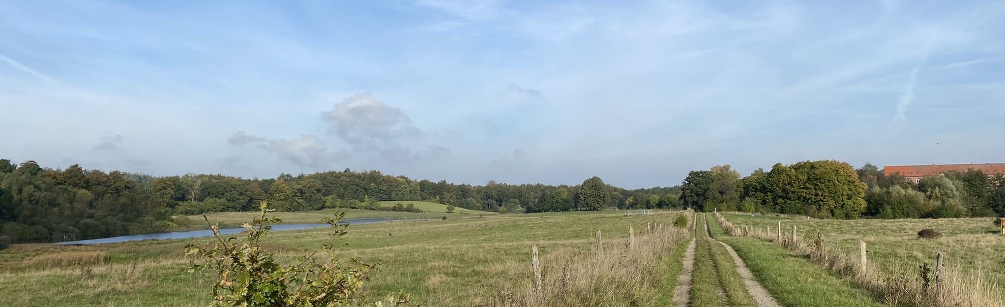 Ebberup Skov - Avnstrup Skov: 12 Fotos - Seeland, Dänemark | AllTrails
