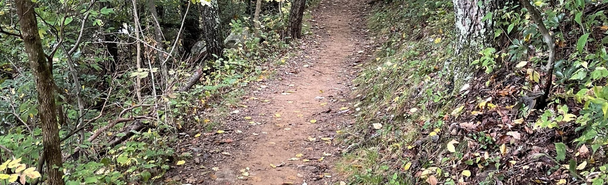 Pass Mountain and Appalachian Trail Loop: 93 Reviews, Map - Virginia ...