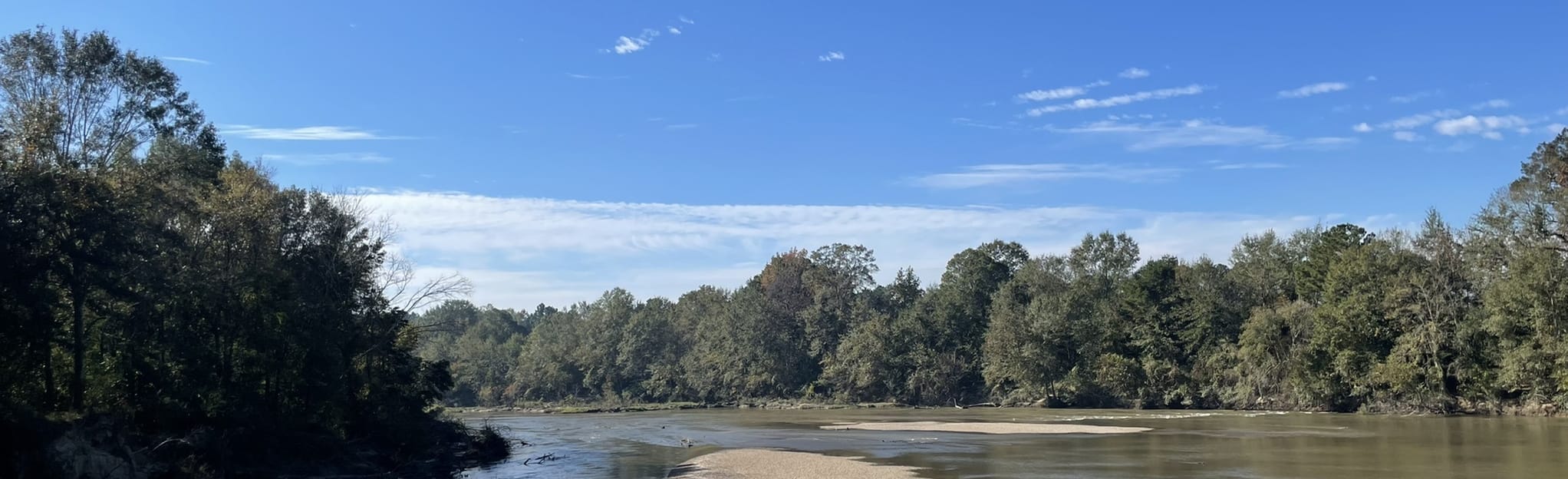 Petal Bike Park River Trail, Mississippi - 42 Reviews, Map | AllTrails
