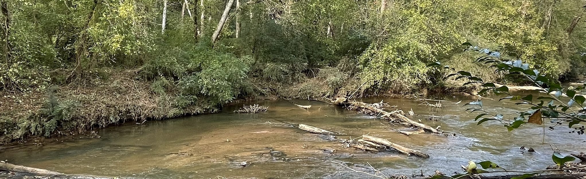 Pelham Mill Park: 57 Reviews, Map - South Carolina | AllTrails