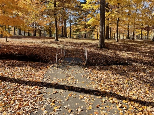 Best Hikes and Trails in Ridgetop Station Park | AllTrails