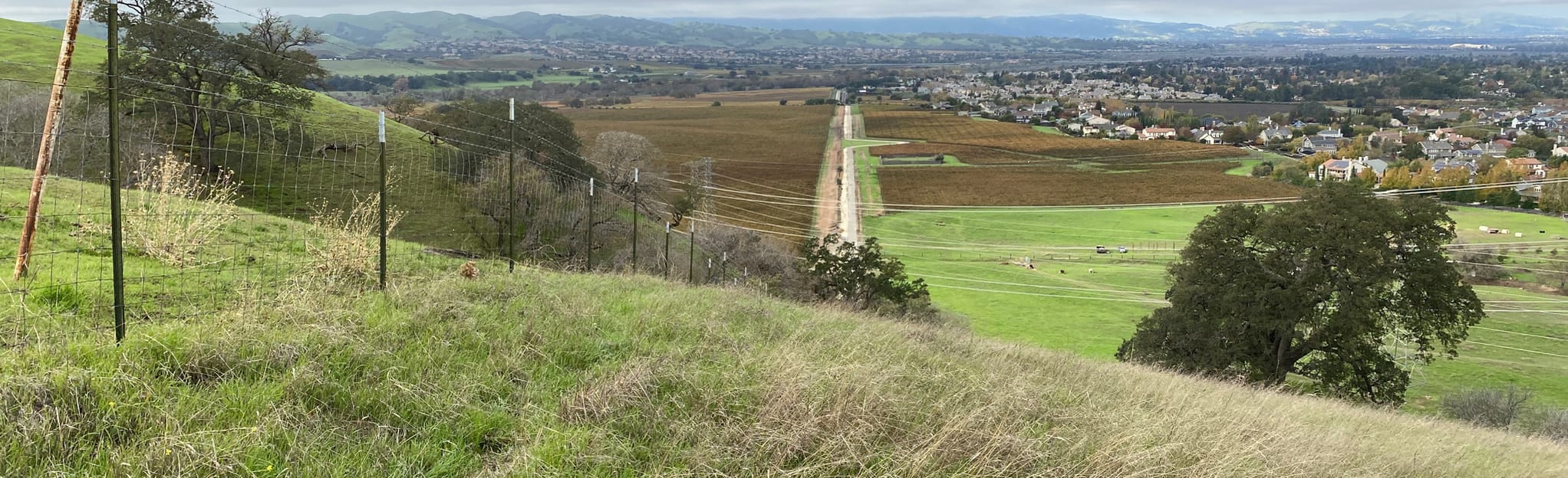 Buttercup Hill Trail and South Spur, California - 53 Reviews, Map ...