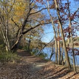 Lake Williams and Lake Redman, Pennsylvania - 180 Reviews, Map | AllTrails