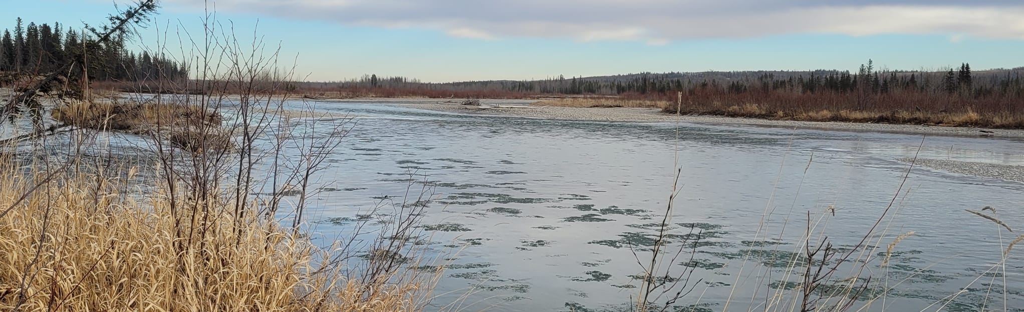 Sundre Red Deer River Walk, Alberta, Canada - 72 Reviews, Map | AllTrails