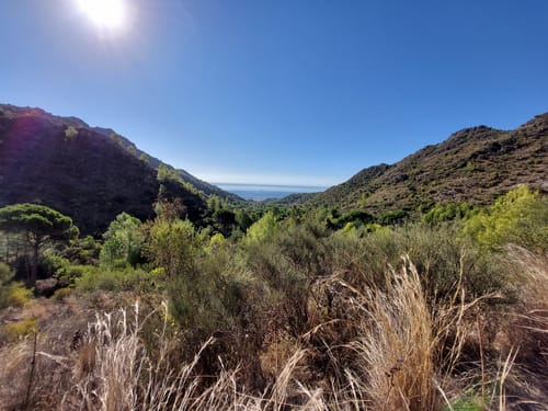 2023 Best 10 Trails and Hikes in Marbella | AllTrails