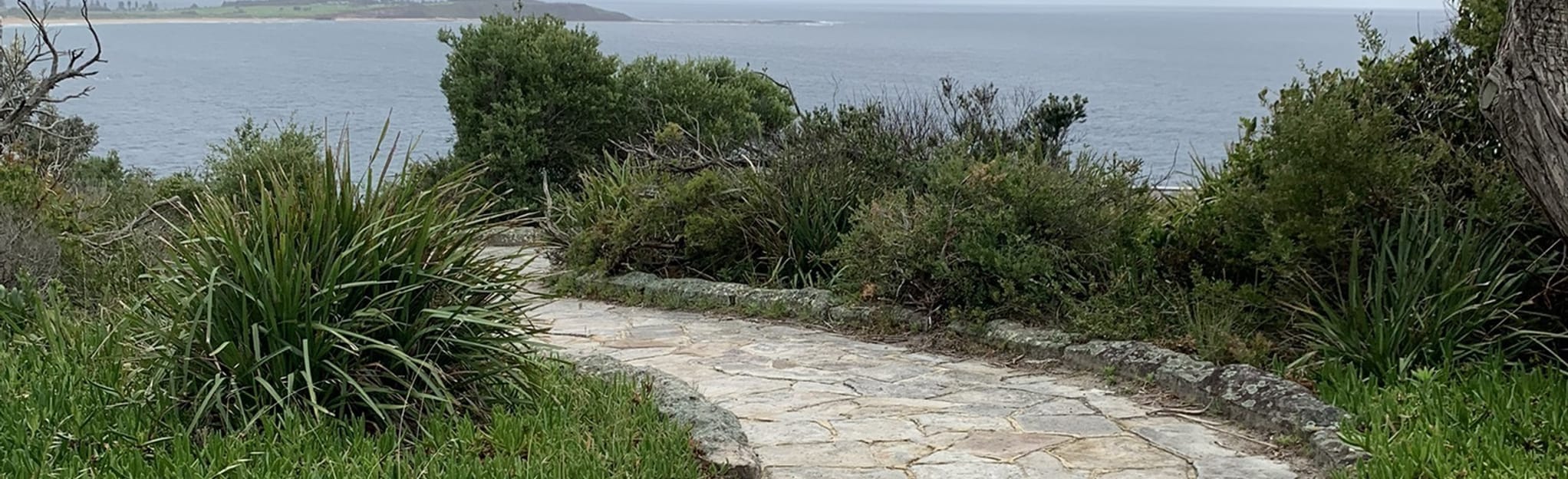 Dee Why Headland Walk, New South Wales, Australia - 120 Reviews, Map ...