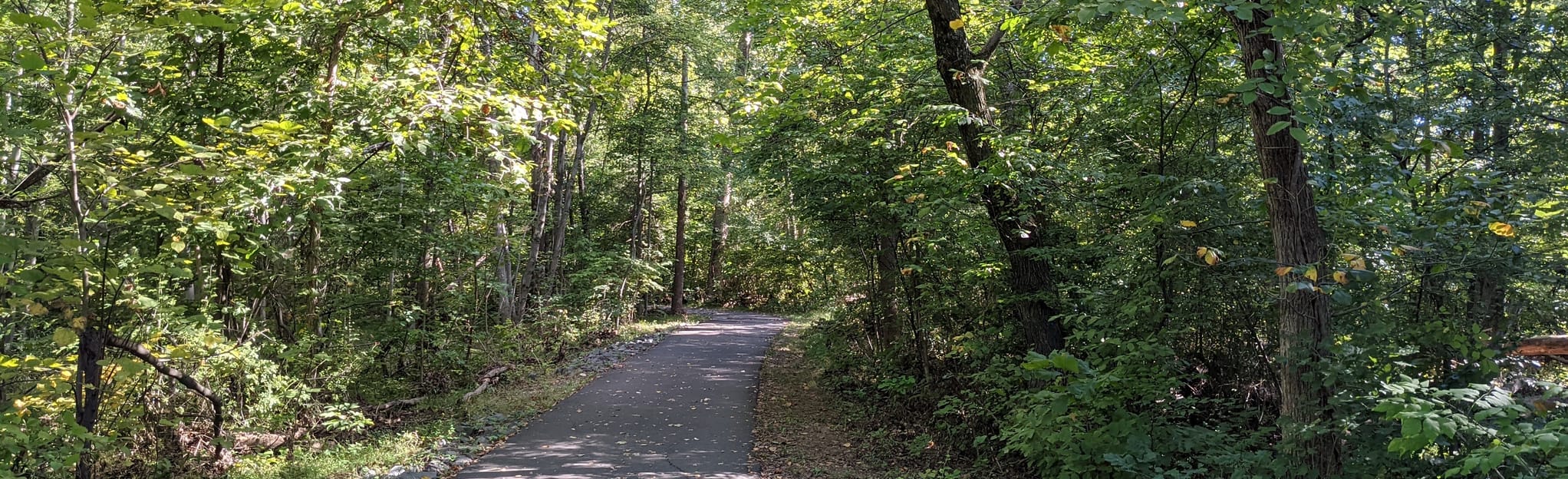 Sugarland Run Trail: 354 Reviews, Map - Virginia | AllTrails