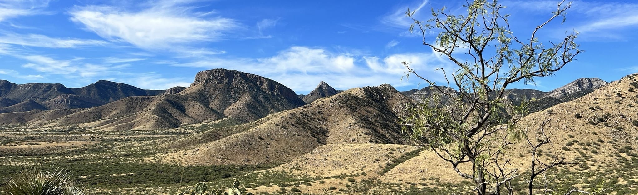 Foothills Loop Trail, Arizona - 615 Reviews, Map | AllTrails