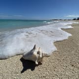 Bush Key Trail, Florida - 53 Reviews, Map | AllTrails