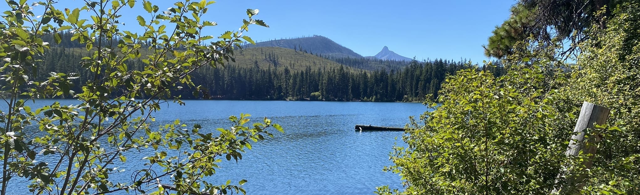 Suttle Lake Loop, Oregon - 681 Reviews, Map | AllTrails