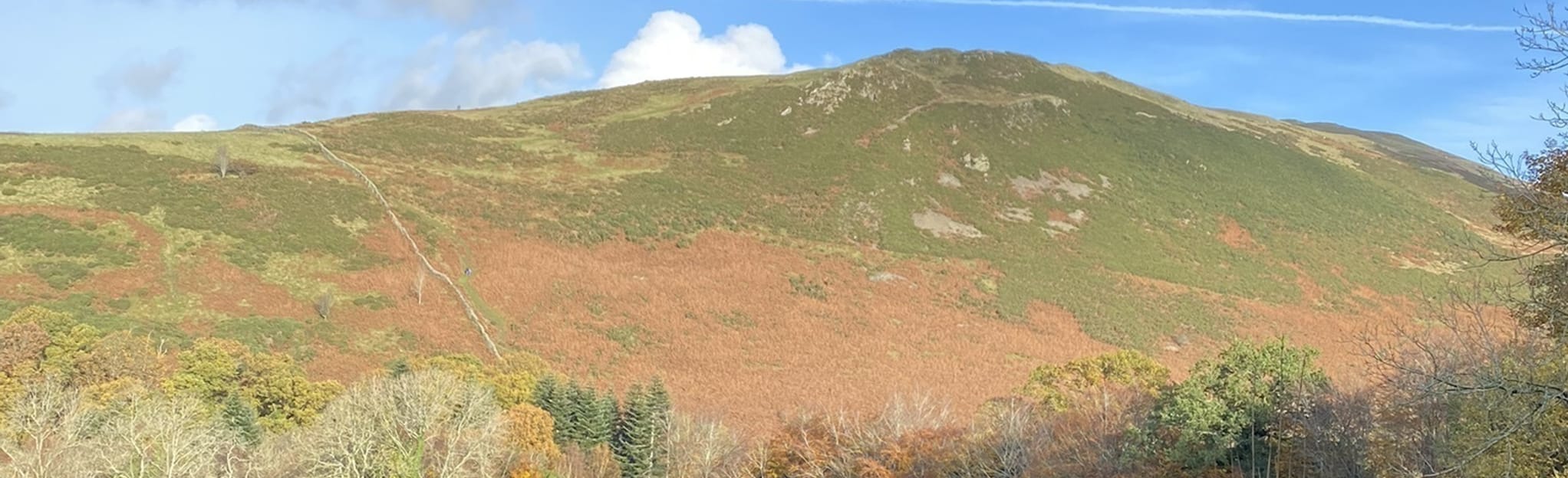 Fisher Wood and Ling Fell Circular: 14 Reviews, Map - Cumbria, England ...