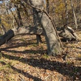 Perry Lake Hiking Trail, Kansas - 117 Reviews, Map | AllTrails