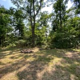 Long Run Road, Virginia - 141 Reviews, Map | AllTrails