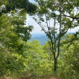 Long Run Road, Virginia - 141 Reviews, Map | AllTrails