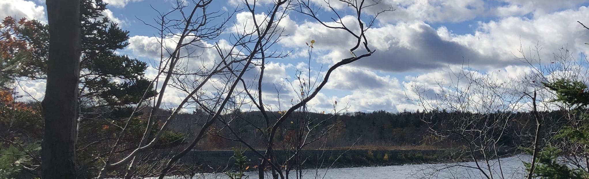 Lakeview Loop, Nova Scotia, Canada - 54 Reviews, Map | AllTrails