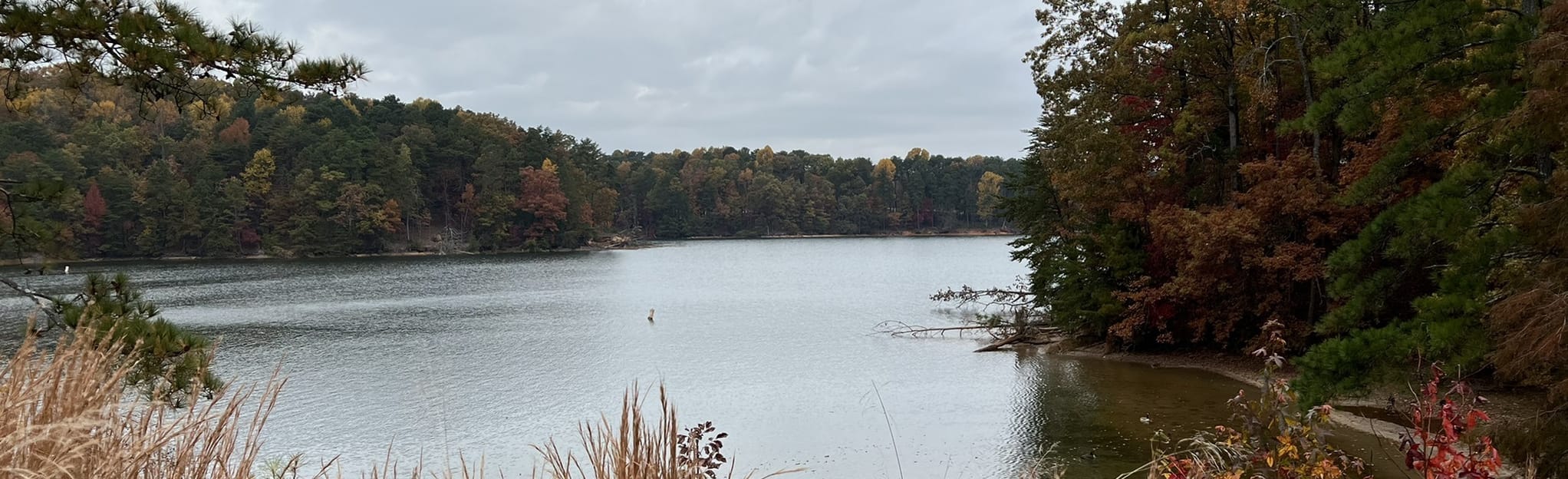 Lake Lanier Island Walk, Georgia - 254 Reviews, Map | AllTrails