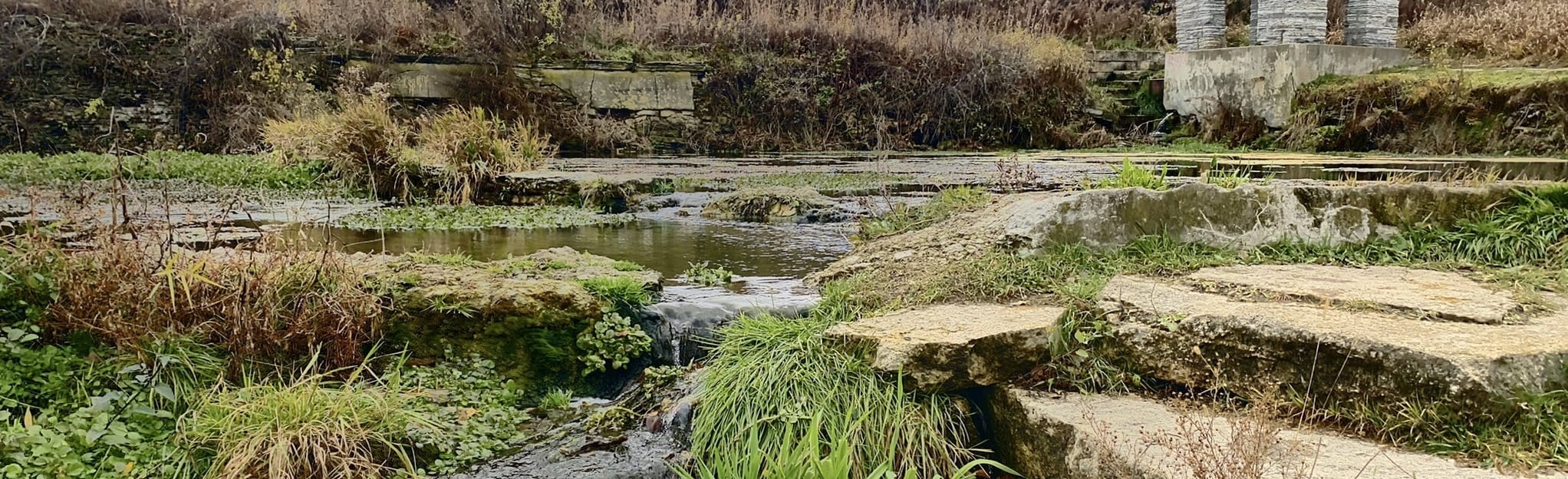 Minnehaha to Coldwater Spring: 52 Reviews, Map - Minnesota | AllTrails