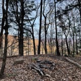 The Pinnacle, Pennsylvania - 542 Reviews, Map | AllTrails