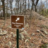 The Pinnacle, Pennsylvania - 542 Reviews, Map | AllTrails