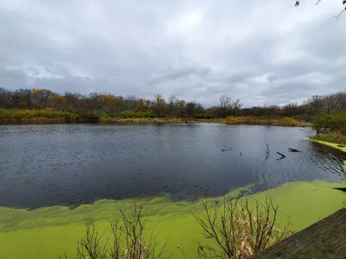 Best Hikes and Trails in Midewin National Tallgrass Prairie | AllTrails