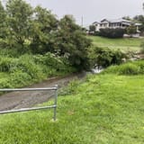 Kedron Brook Track, Queensland, Australia - 86 Reviews, Map | AllTrails