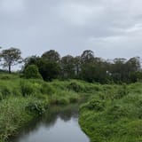 Kedron Brook Track, Queensland, Australia - 86 Reviews, Map | AllTrails