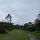 Kedron Brook Track, Queensland, Australia - 86 Reviews, Map | AllTrails