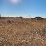 Eagle Lake, Alberta, Canada - 67 Reviews, Map | AllTrails