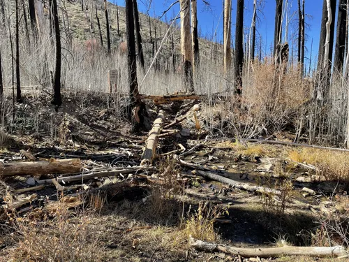 10 Best Trails and Hikes in Forest Falls | AllTrails