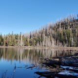 Barrett Lake-Lake Eiler Loop Trail, California - 16 Reviews, Map ...