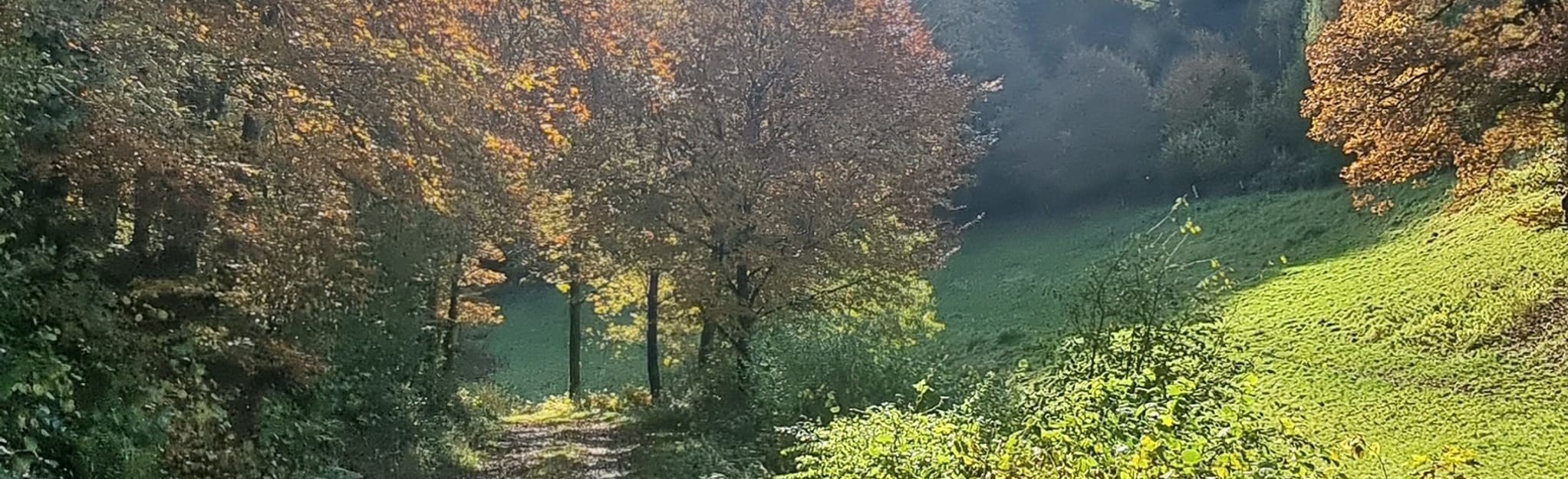 Fischbach Wanderung: 30 fotos - Clervaux, Luxemburgo | AllTrails