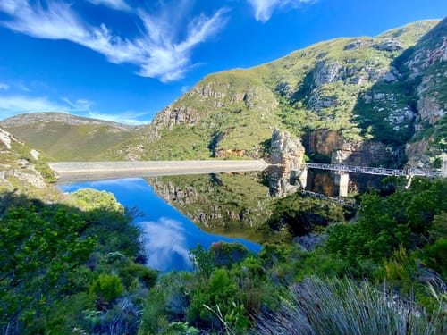 Fernkloof Nature Reserve: Die besten Waldwege in 2023 | AllTrails