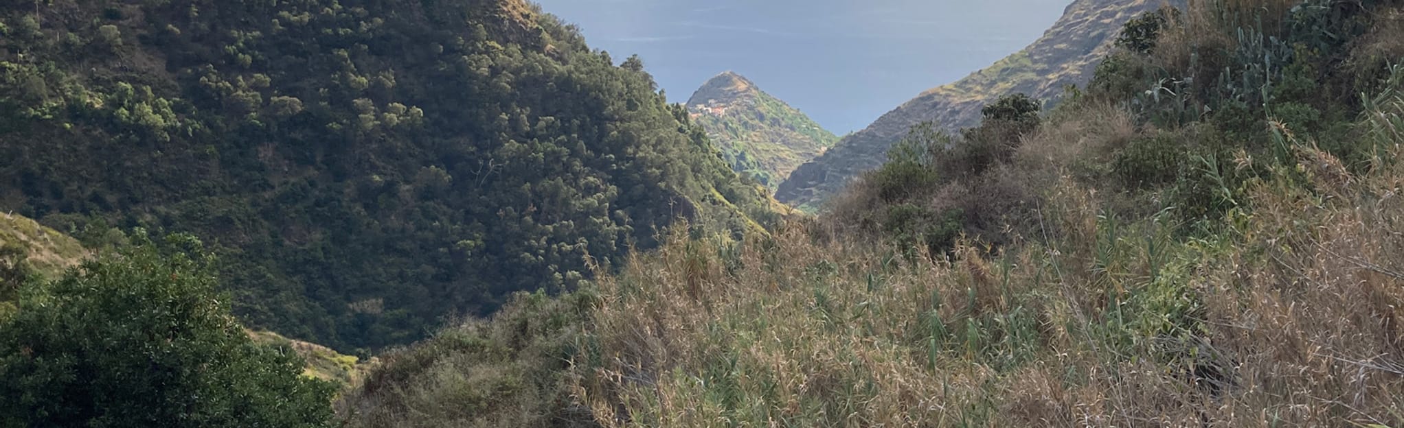 Rota da Levada Nova a Lombada | Mapa, Roteiro - Madeira, Portugal ...