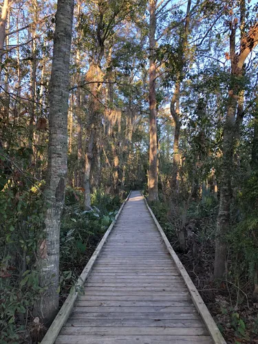 Best Hikes and Trails in Fairview-Riverside State Park | AllTrails