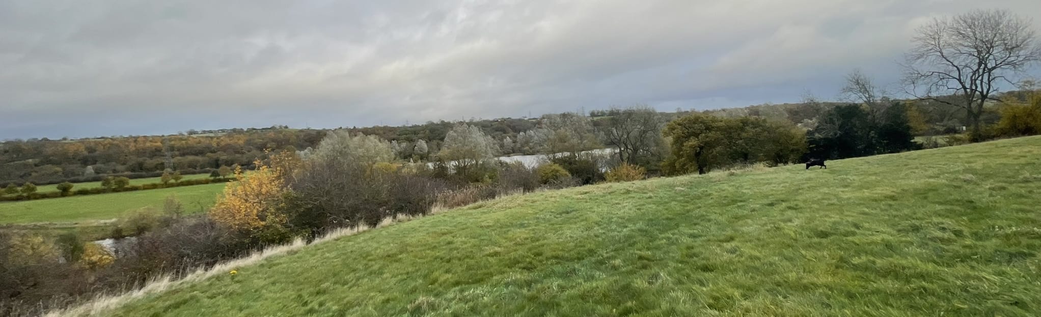 Escomb and Paradise Park Circular, County Durham, England - 37 Reviews ...