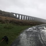 Ribblehead Viaduct Circular, North Yorkshire, England - 129 Reviews ...