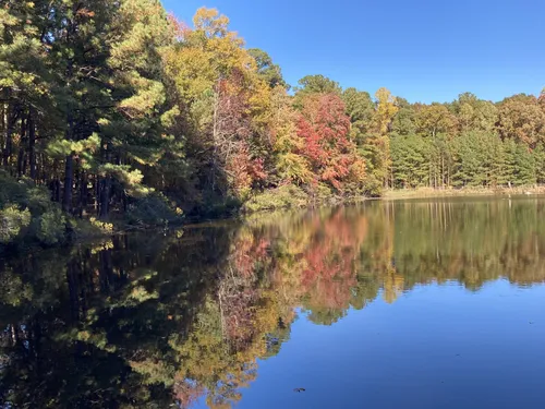 10 Best Lake Trails in Apex | AllTrails