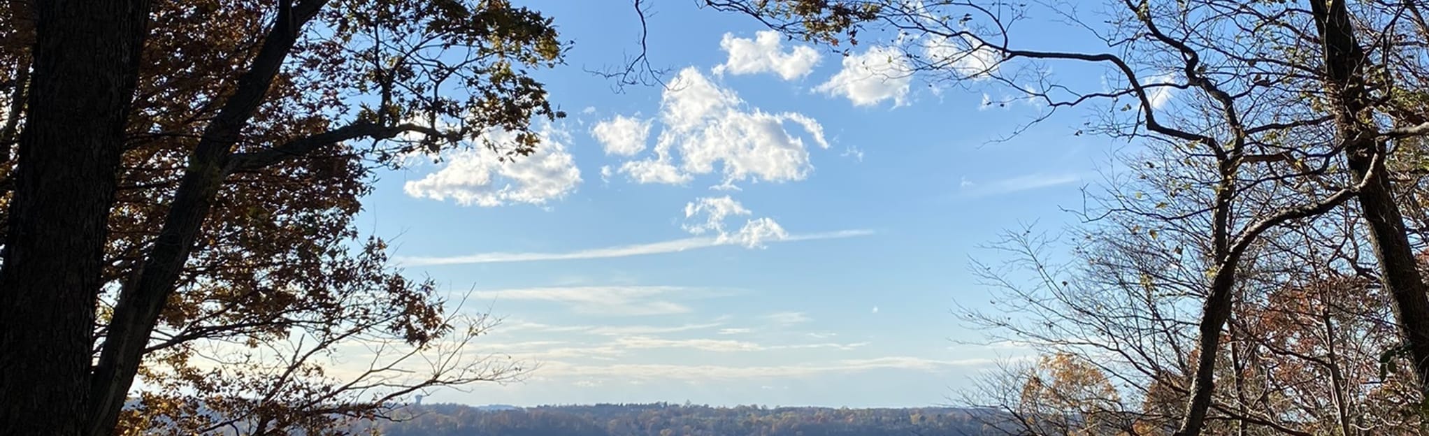 Braddock’s Trail and Vista Loop | Map, Guide - Pennsylvania | AllTrails