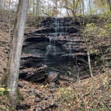 Fall Hollow Falls Trail, Tennessee - 173 Reviews, Map | AllTrails
