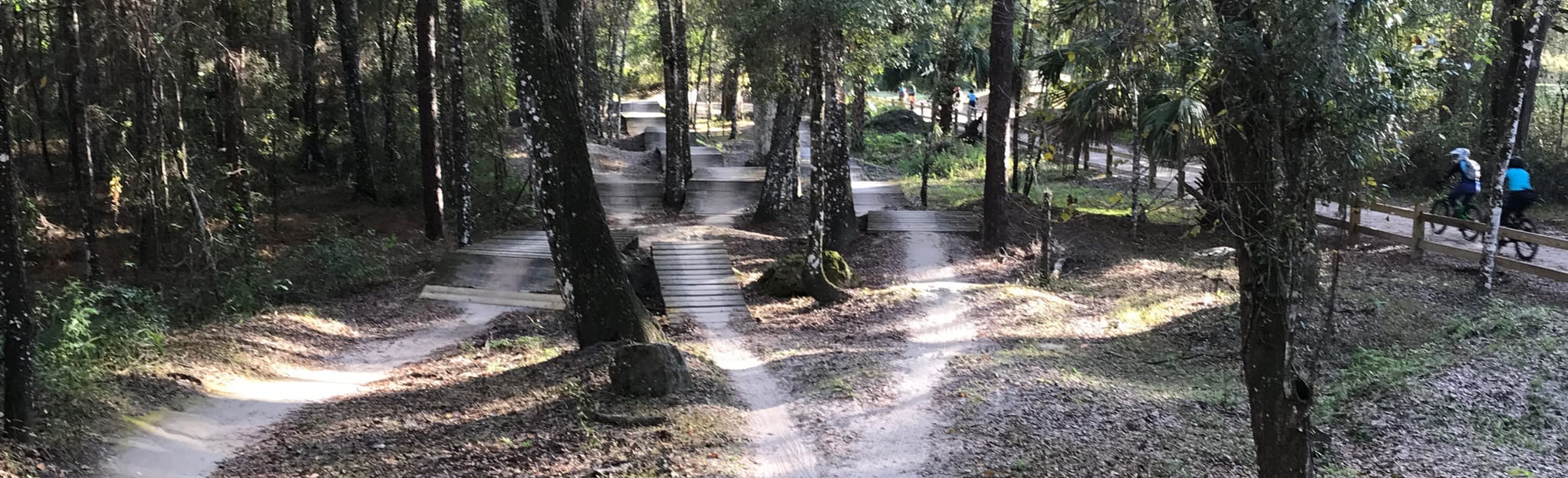Vortex Mountain Bike Twister Trail: 143 Reviews, Map - Florida | AllTrails
