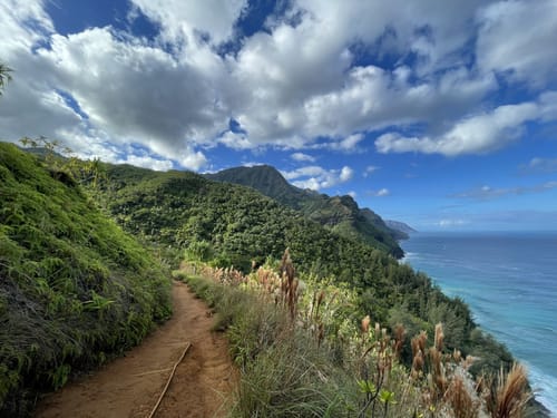 2023 Best 10 Trails and Hikes in Kaua'i | AllTrails