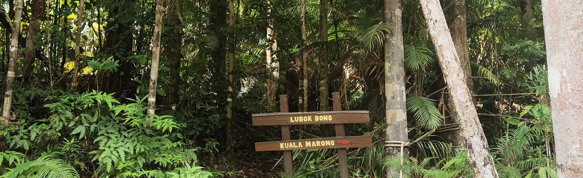 Endau Rompin To Buaya Sangkut Waterfall, Johor, Malaysia - Map, Guide ...