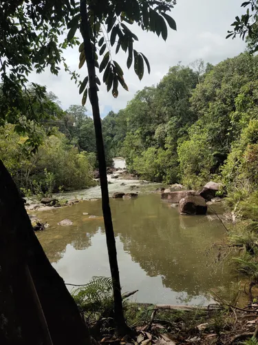 Best Moderate Trails in Endau Rompin National Park (Peta) | AllTrails
