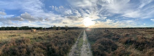 Best 10 Hikes and Trails in Brandon Country Park | AllTrails