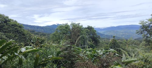 2023 Best trails in Taman Buru Gunung Masigit Kareumbi | AllTrails