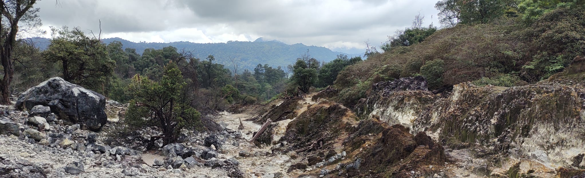 Kawah Ratu, West Java, Indonesia - 8 Reviews, Map | AllTrails
